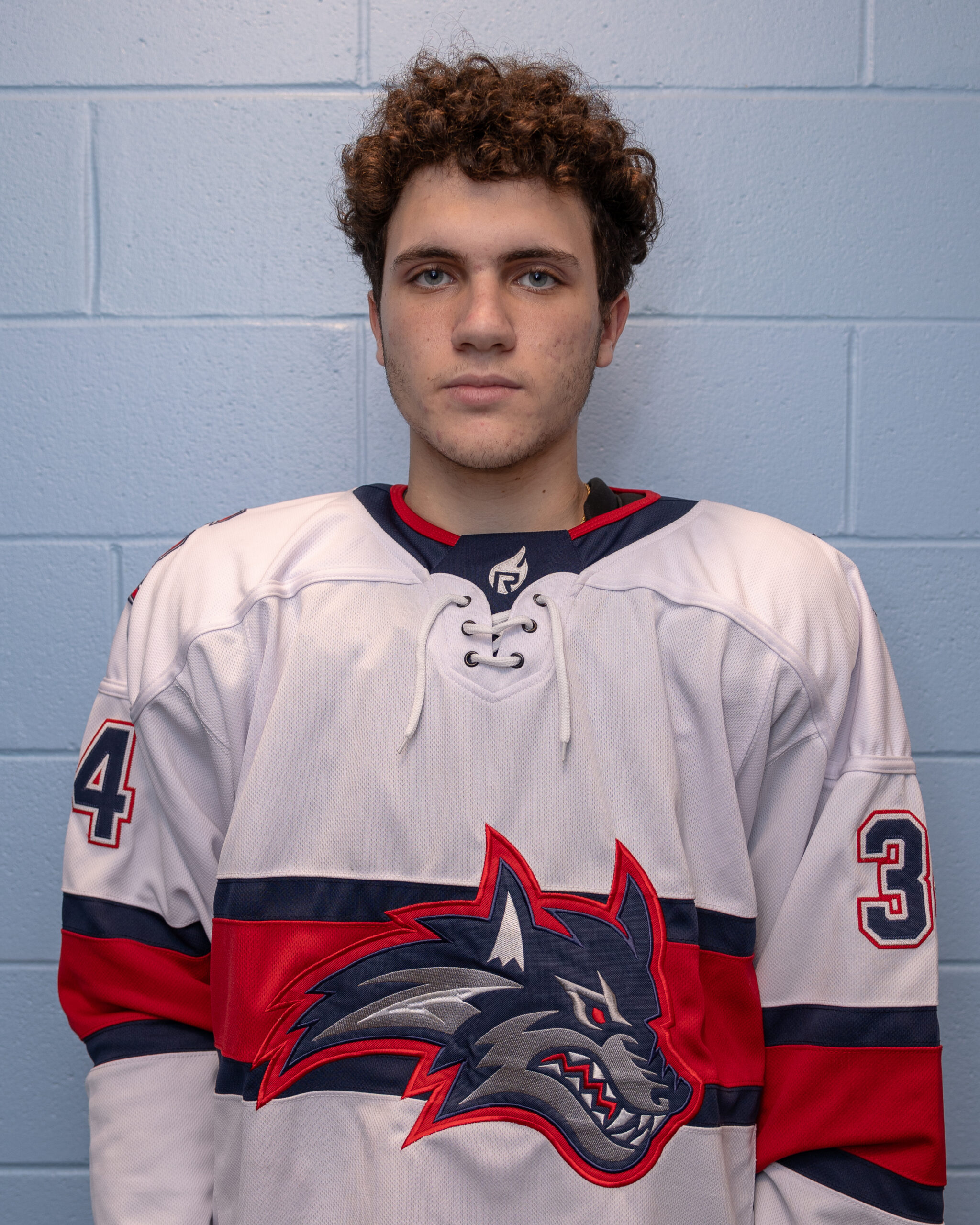 Daniel Sorkin – Stony Brook University NACHL Ice Hockey